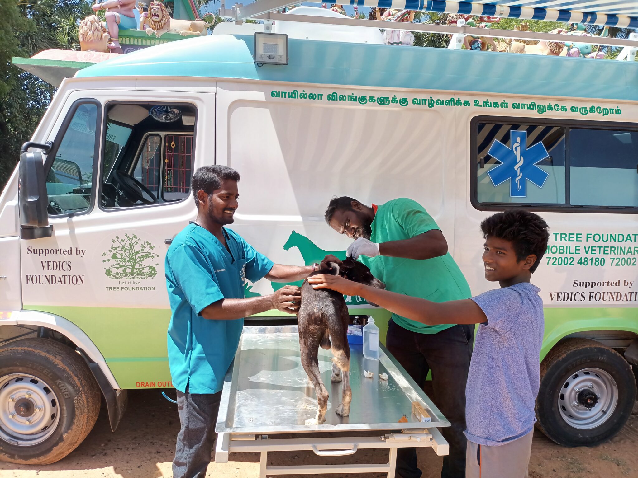 Animal Welfare – Tree Foundation India